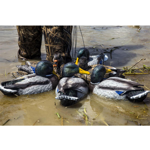 MOJO FATAL FRONT PREMIUM FOLDING KEEL DECOYS 6 PACK - Camofire Discount ...