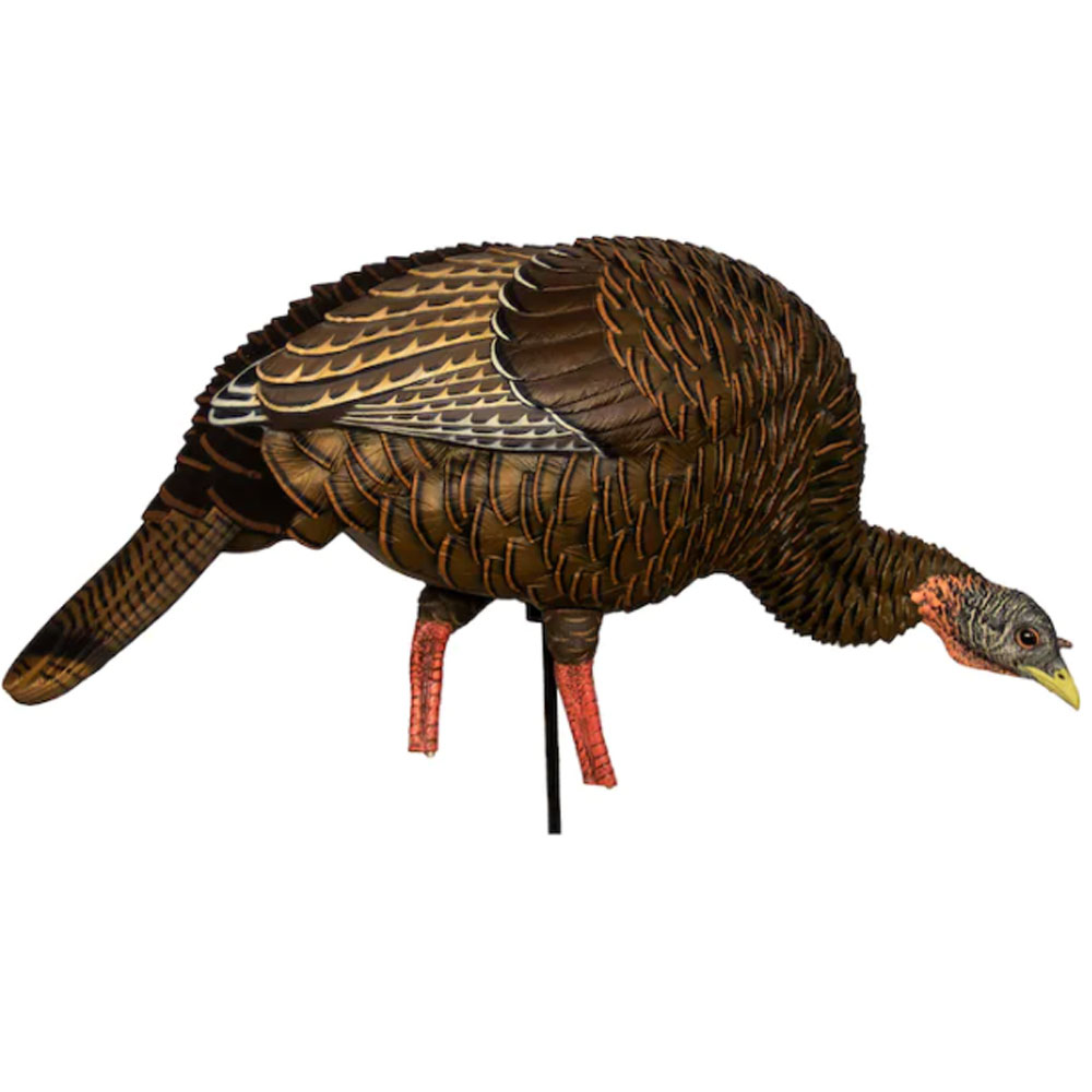 AVIAN-X HDR FEEDING HEN TURKEY DECOY - Camofire Discount Hunting Gear ...