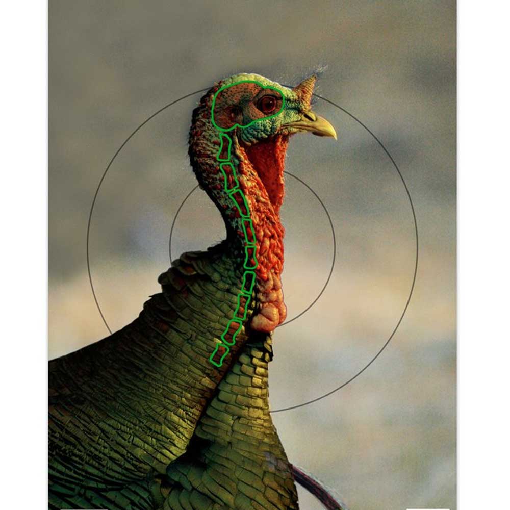 BIRCHWOOD CASEY PREGAME 12X18 8 PACK TURKEY TARGETS - Camofire Discount ...