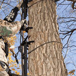 MUDDY 20 INCH PROSTICKS CLIMBING STICKS - 4 PACK - Camofire Discount ...