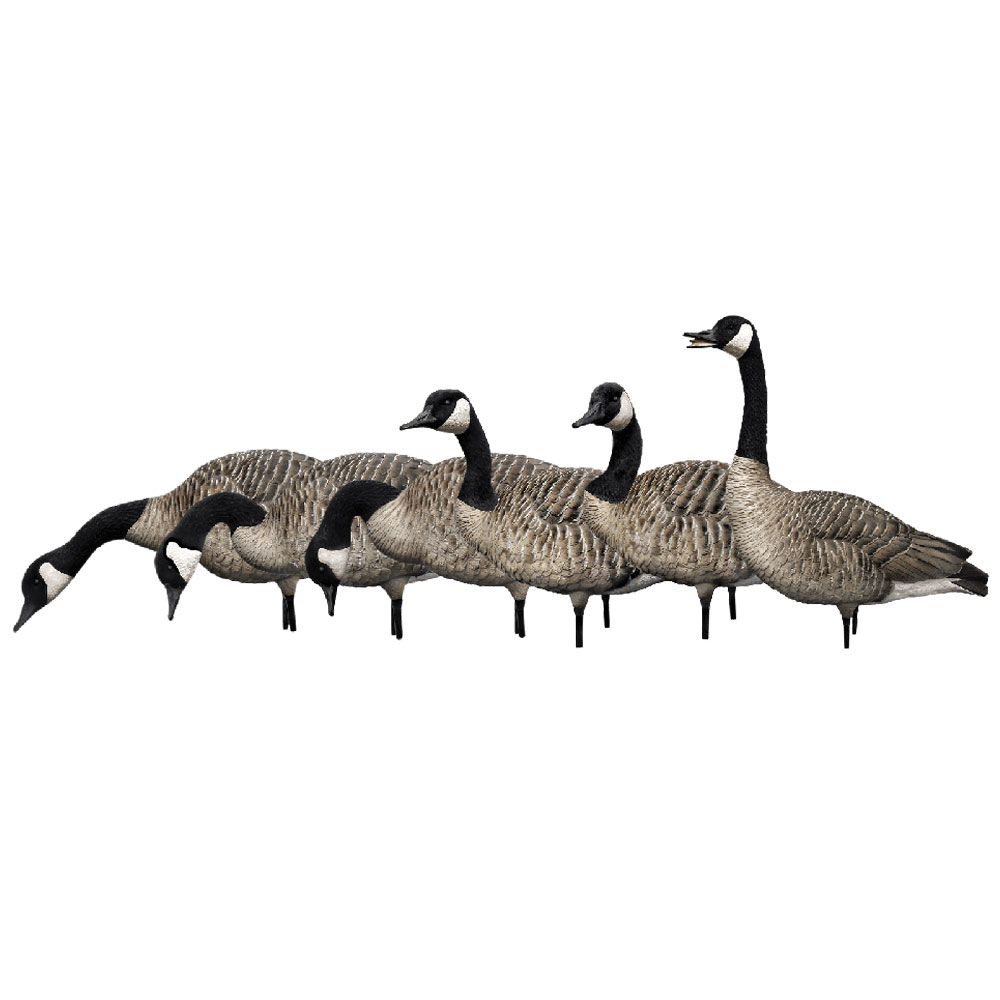 AVIAN-X AXP HONKERS FUSION DECOYS - 6 PACK - Camofire Discount Hunting ...