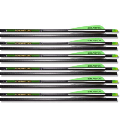 EASTON ST EPIC JR DOZEN ARROWS WITH VANES - Camofire Discount Hunting ...