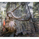 ALPS COMMANDER X FRAME PACK - Camofire Discount Hunting Gear, Camo and ...