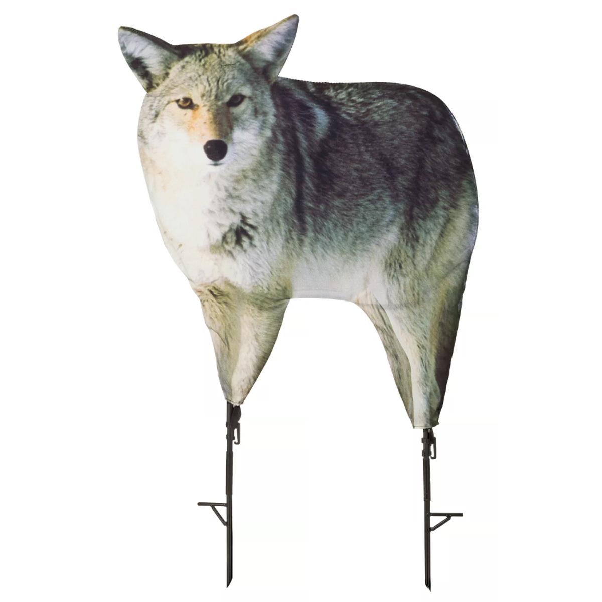 MONTANA DEOCY KOJO COYOTE DECOY - REFURB - Camofire Discount Hunting ...